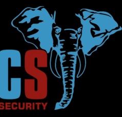 COLLINS SEBOLA SECURITY